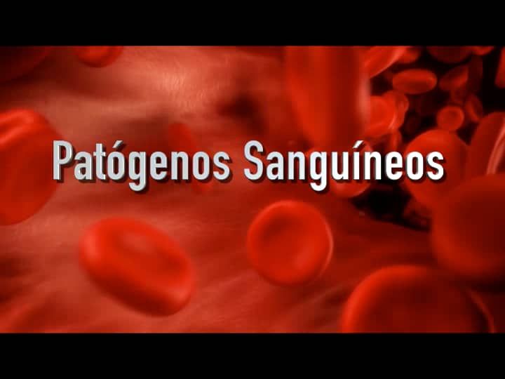 1.0-Bloodborne Pathogens - Spanish Video.avi on Vimeo