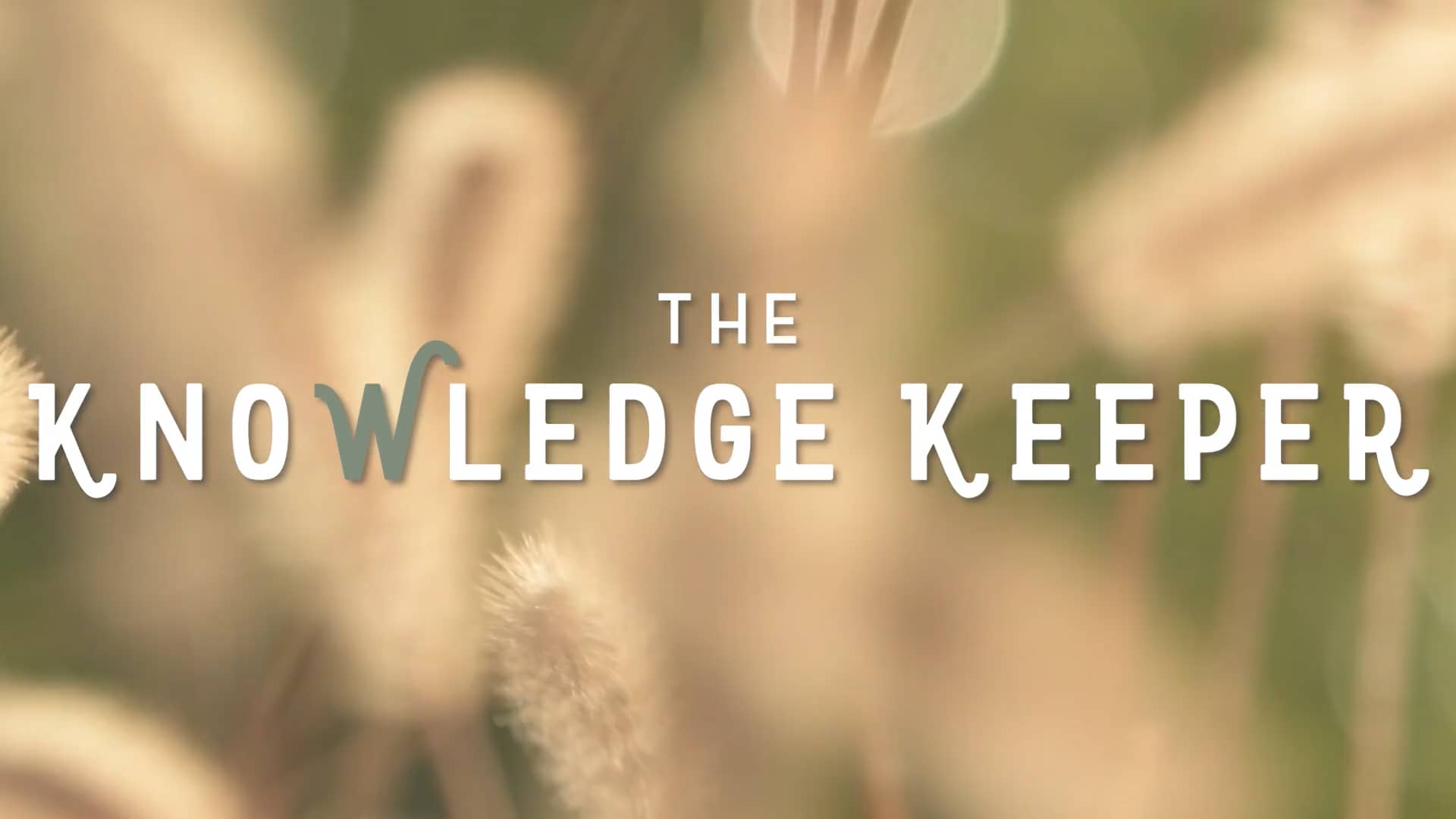 The Knowledge Keeper Newsletter - Join Us on Vimeo