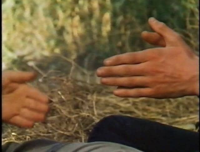 Stookie Clip on Vimeo