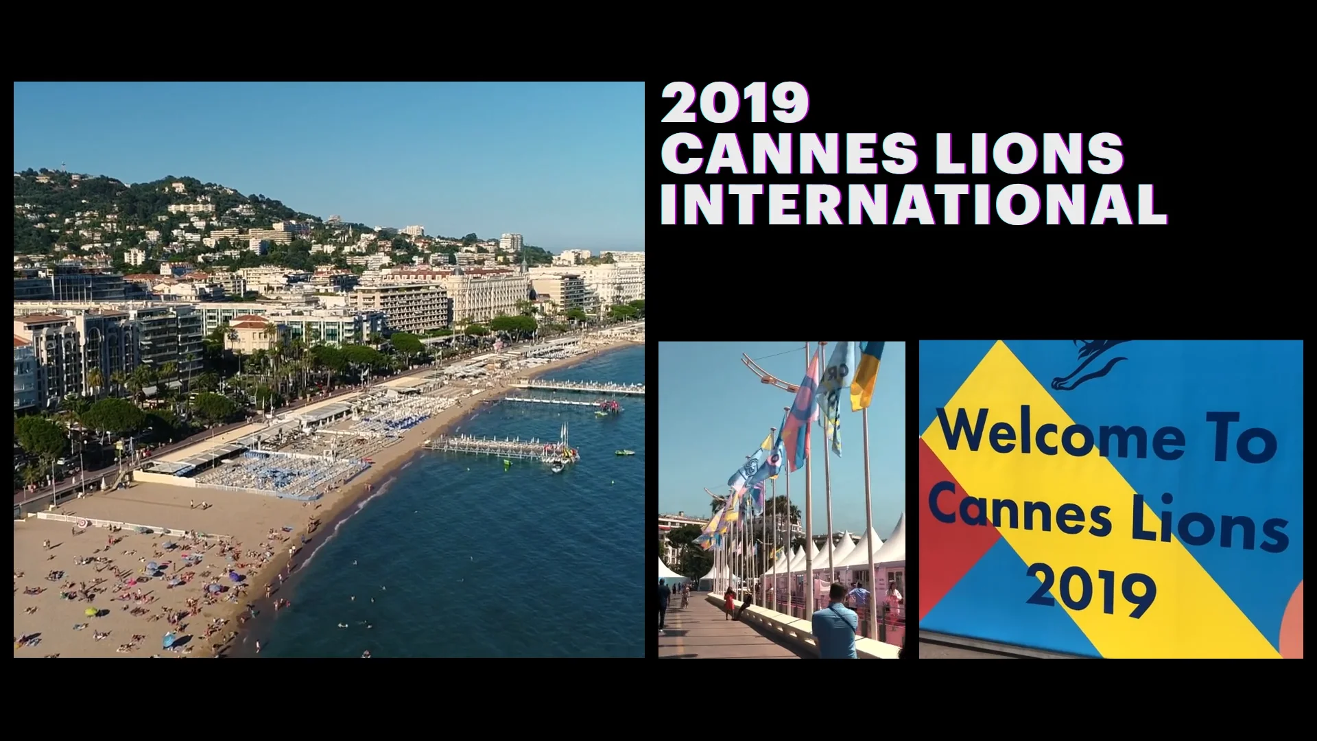 DDB Case Study Final on Vimeo