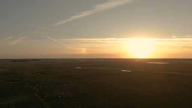 Afternoon Sun Videos: Download 52+ Free 4K & HD Stock Footage Clips ...