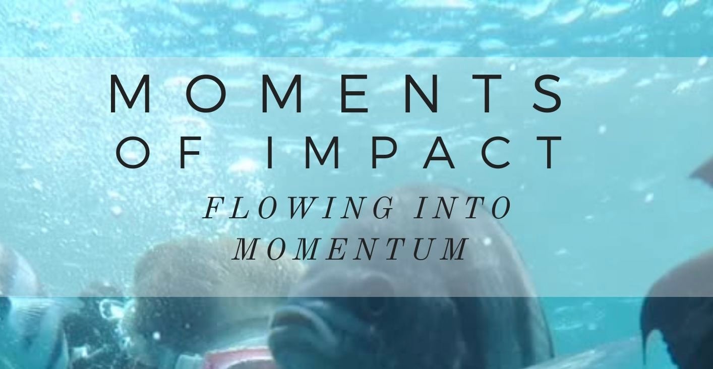 Watch Bonus 1 - Moments of Impact Online | Vimeo On Demand on Vimeo
