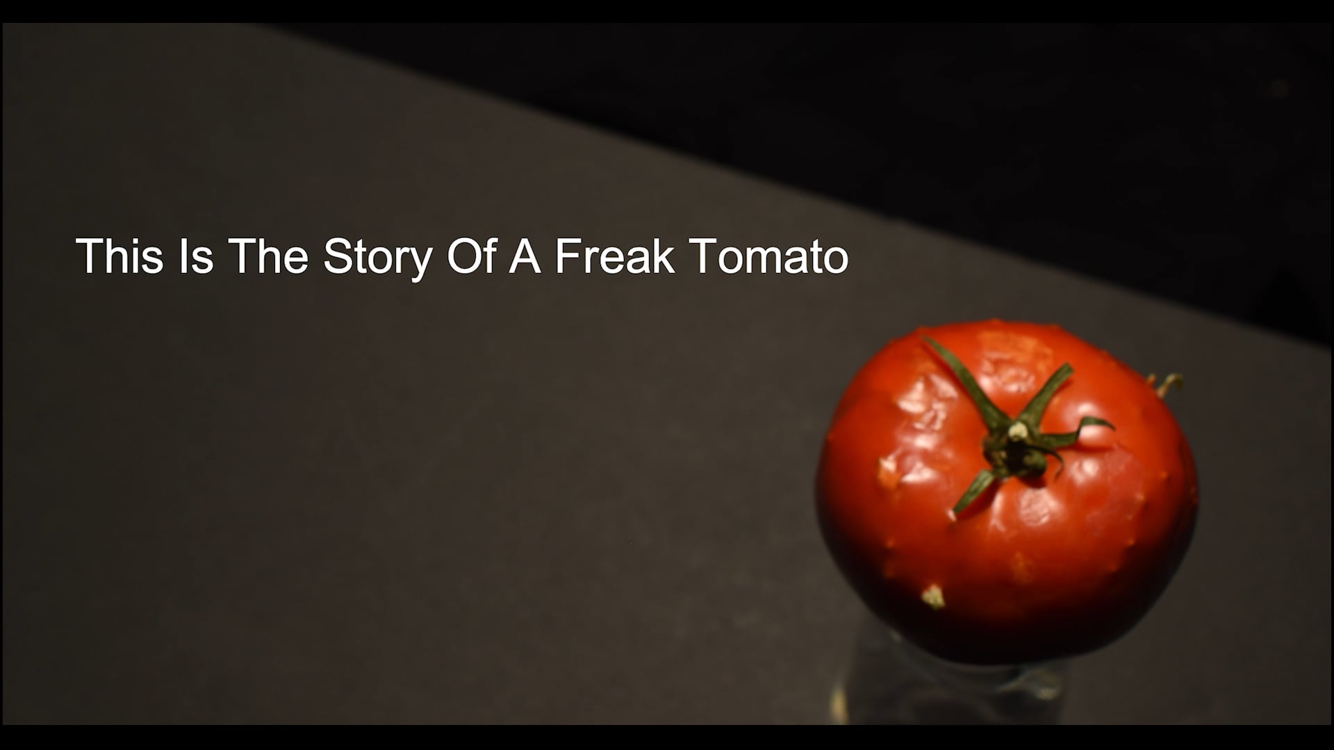 Freak Tomato on Vimeo