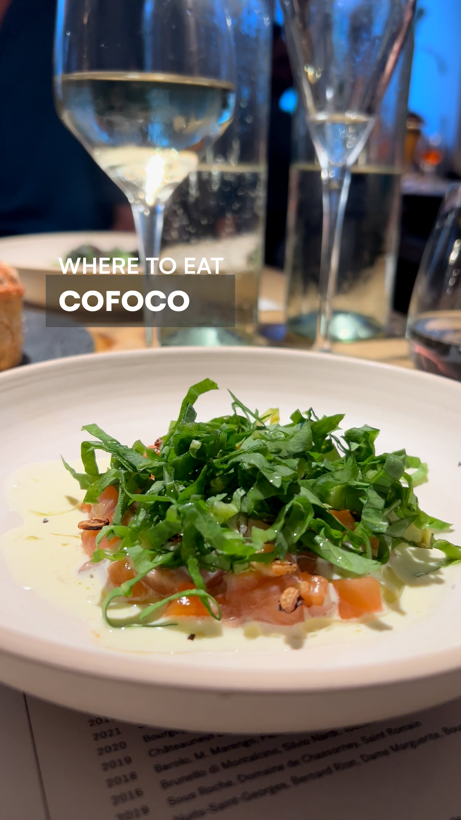 Copenhagen- Cofoco on Vimeo