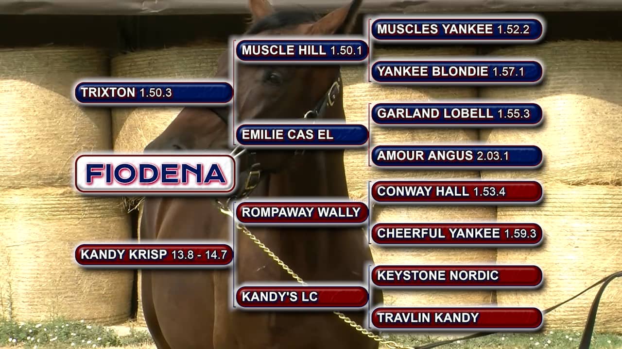 FIODENA - Scud. Vecchia Toscana - nati 2021 on Vimeo