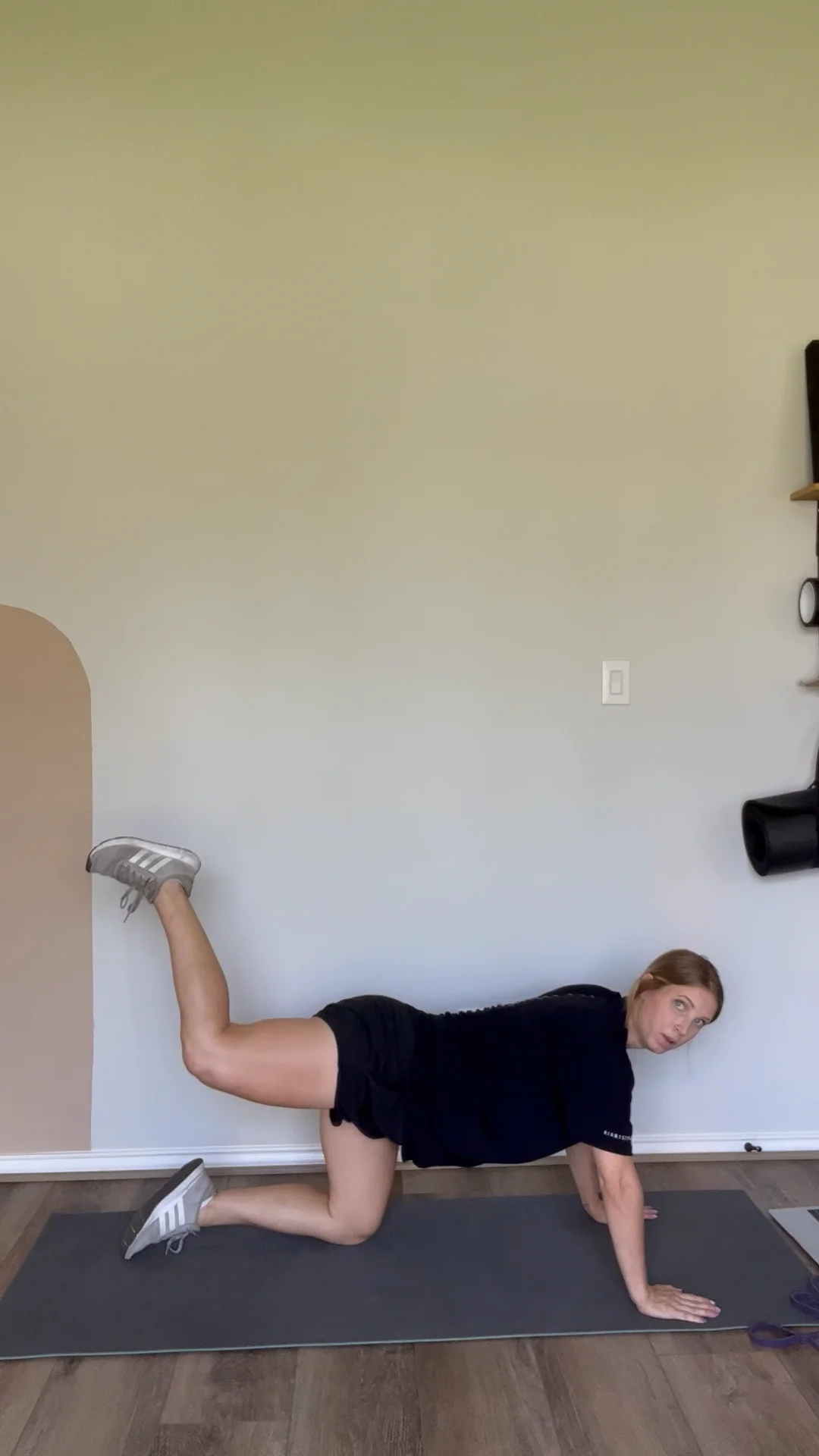 Donkey Kickback pulses on Vimeo