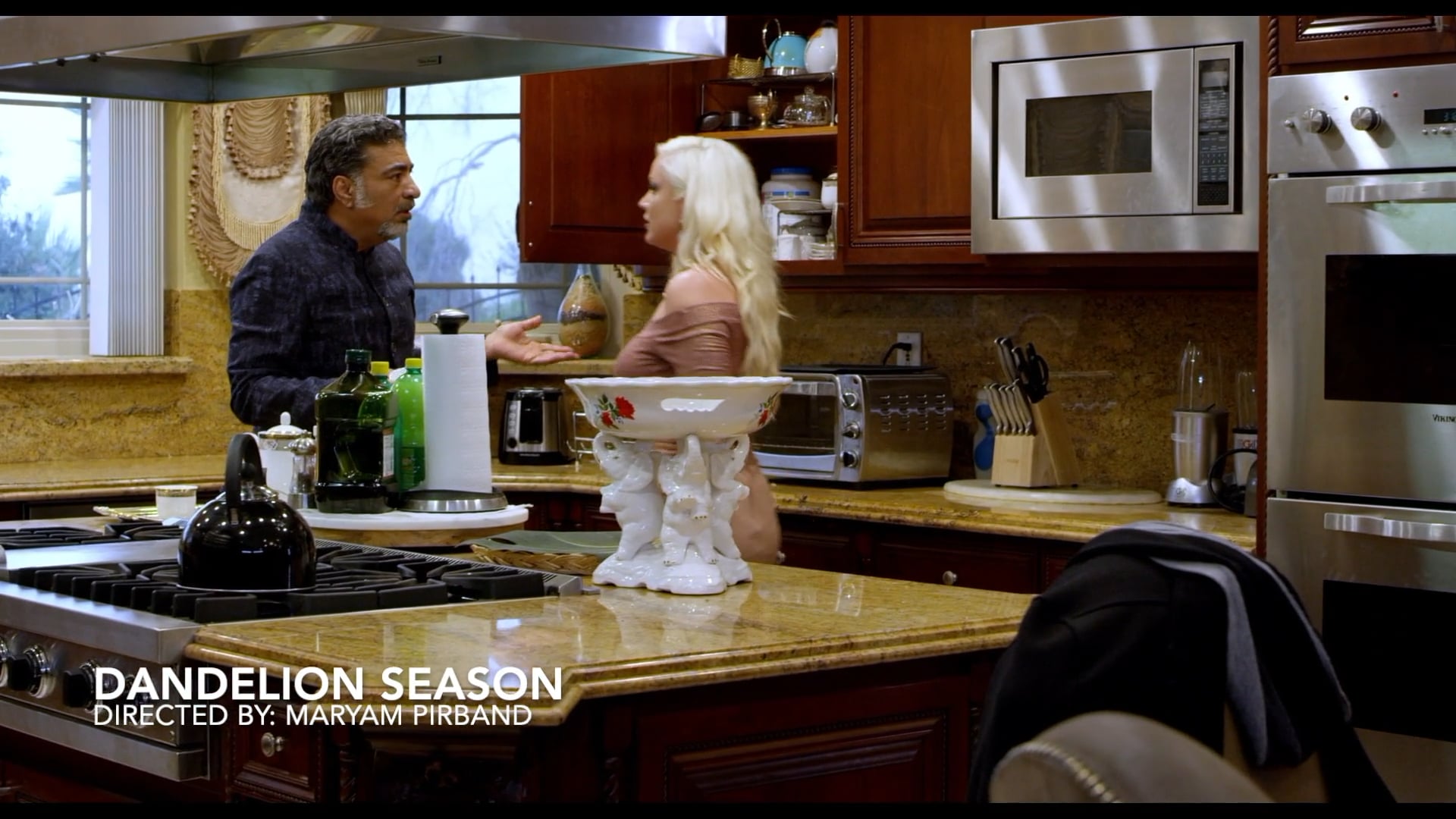 Arab American Actor Sayed Badreya Scenes in the film Dandelion Season ...