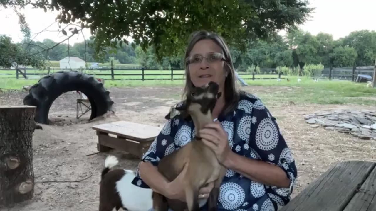 Michelle Priddy, Licensed Clinical Professional Counselor, Centreville ...