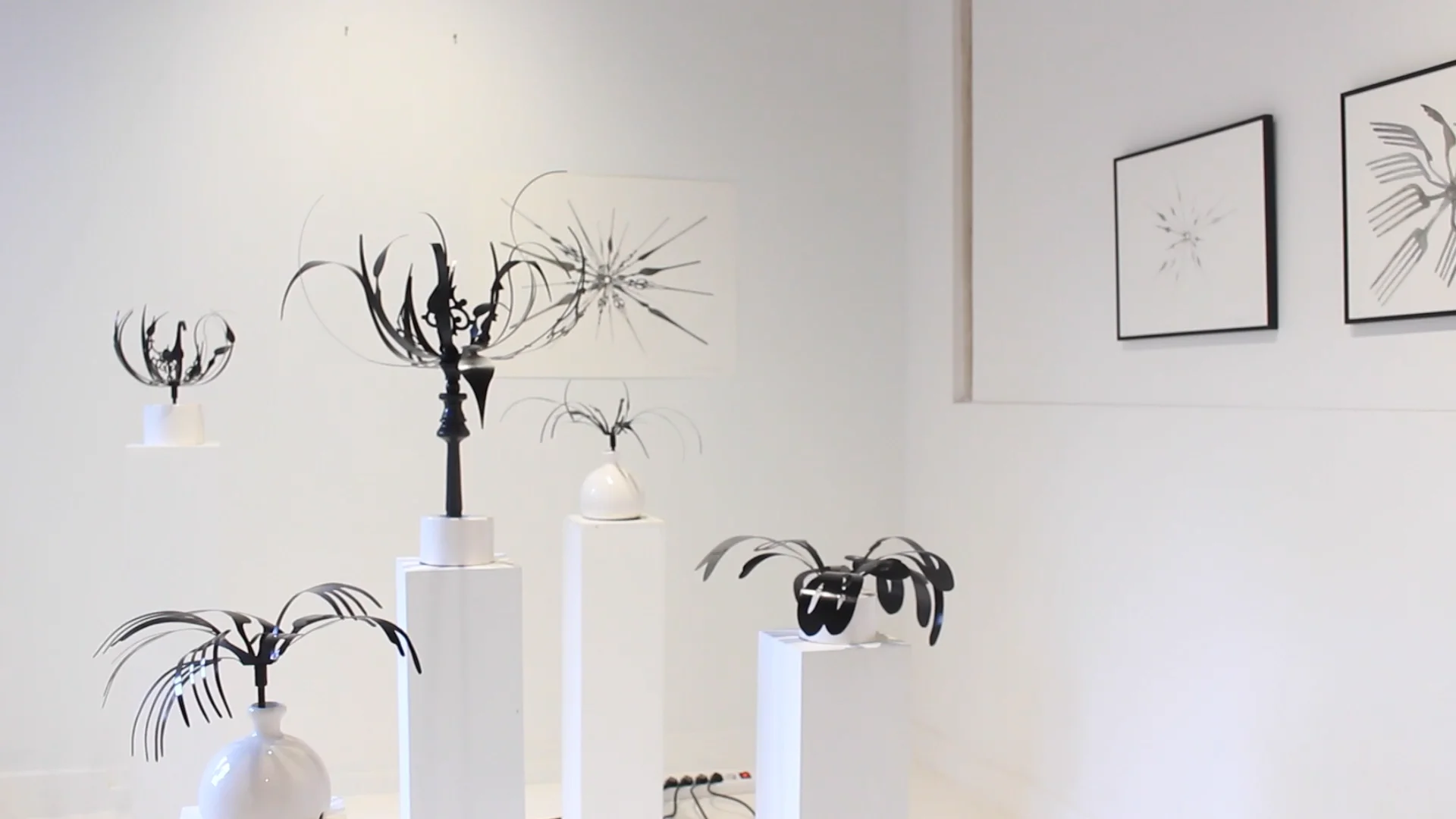 Garden of shadow on Vimeo