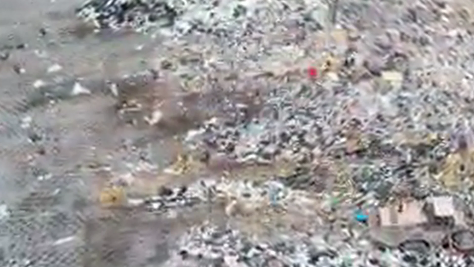 Landfill Casey Edge.mp4 on Vimeo