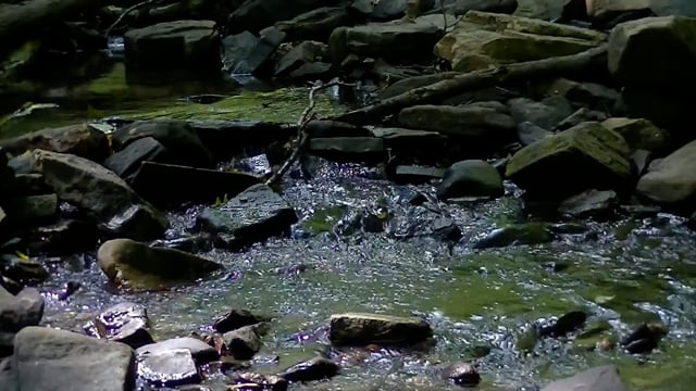 River Rocks Stream - Free video on Pixabay