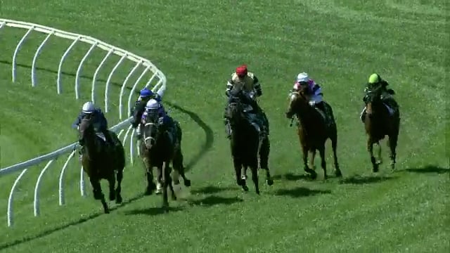 Better Than Ready - Stallion | Breednet