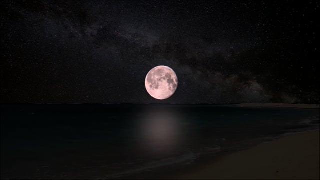 Moonlight Beach Videos: Download 6+ Free 4K & HD Stock Footage Clips ...