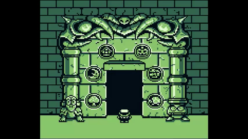 Super Mario Land 2 Wario Castle.mp4 on Vimeo
