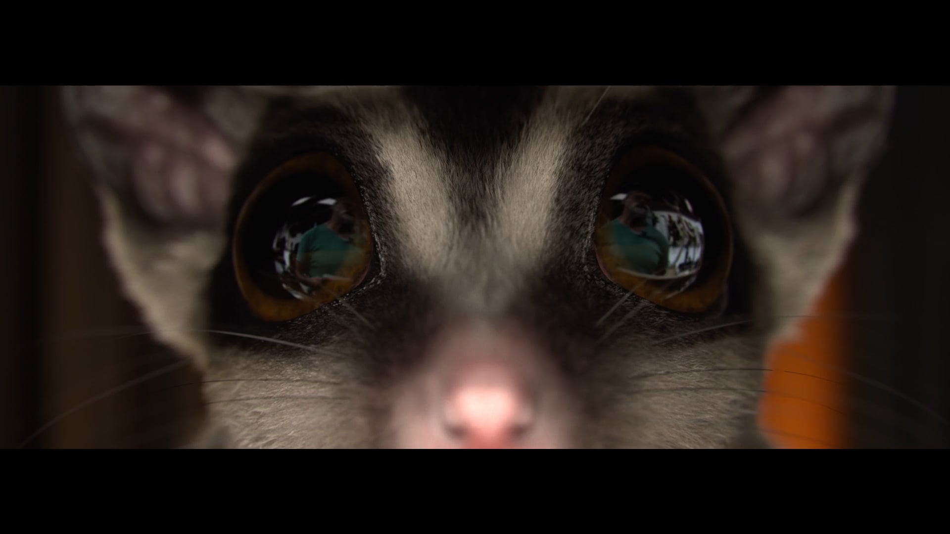 OPTUS - 'tis the season of Yes on Vimeo