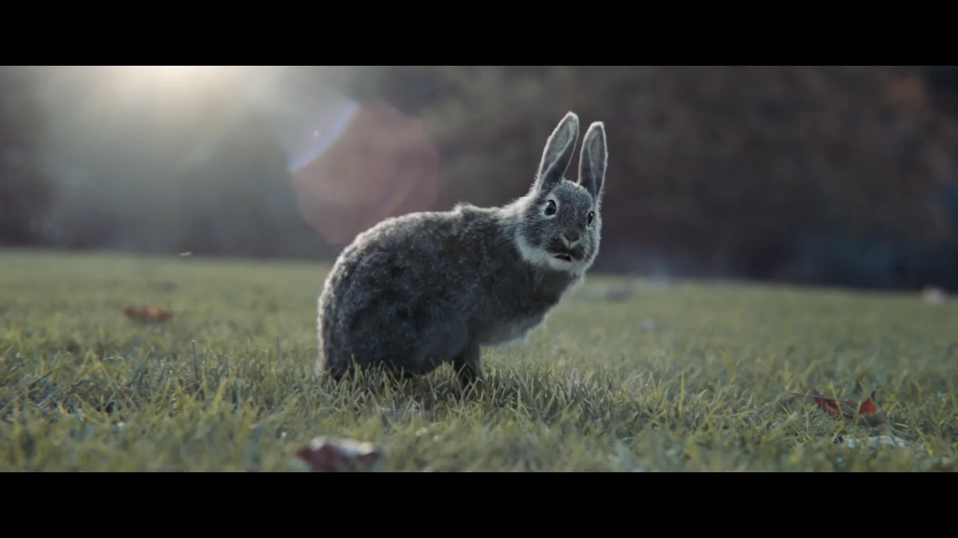 SKY TV - INTRODUCING THE WATCH on Vimeo