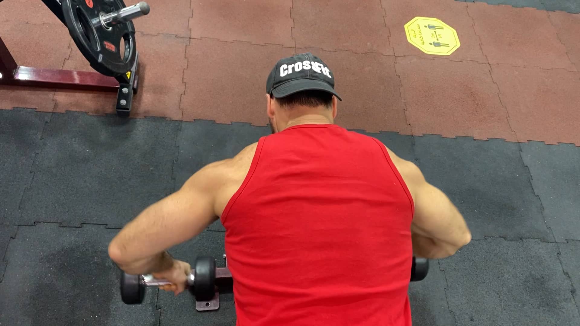 Pronated Rows (Elbows out) on Vimeo