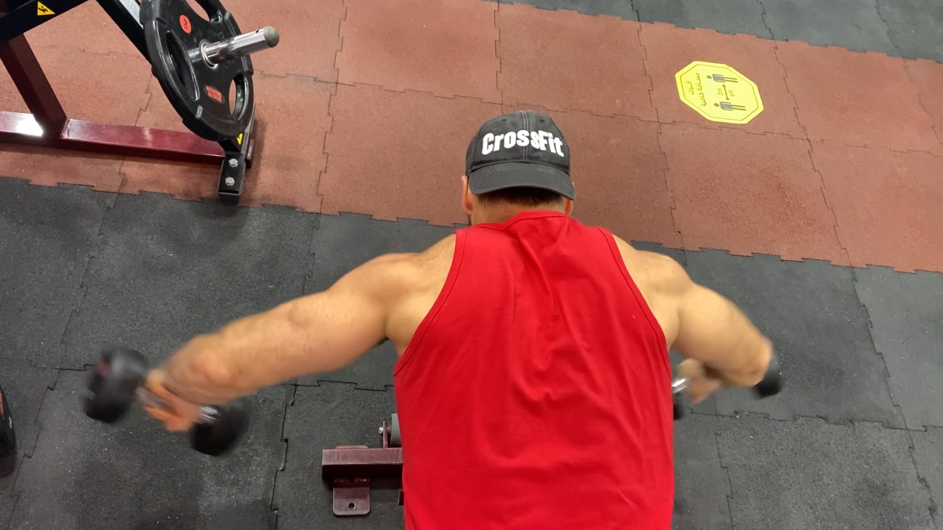 Pronated Reverse Flys (Elbows out) on Vimeo