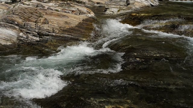 Wild Water, Water, Bach. Free Stock Video - Pixabay