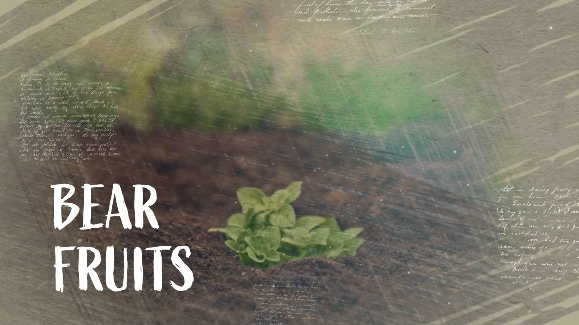 40 Bear Fruits on Vimeo