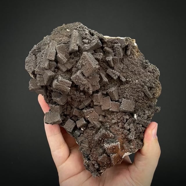 large Descloizite on Wulfenite (Megaw Collection) | Erupcion Mine, Los ...