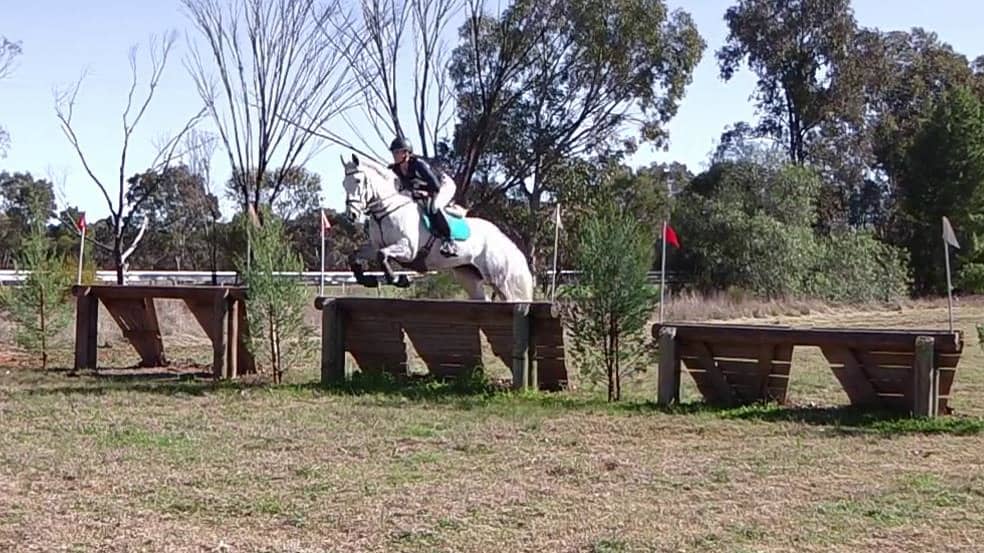 Jennifer Clulow riding PLOVER SPRINGS LULU 56 EvA95 Wagga Wagga Horse ...