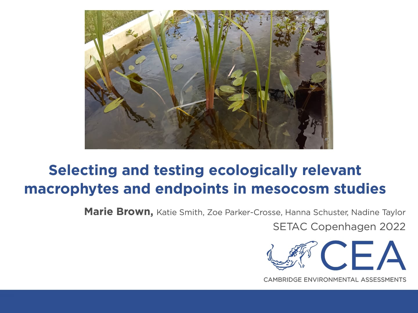 Selecting and testing macrophytes in mesocosm studies - Marie Brown on ...