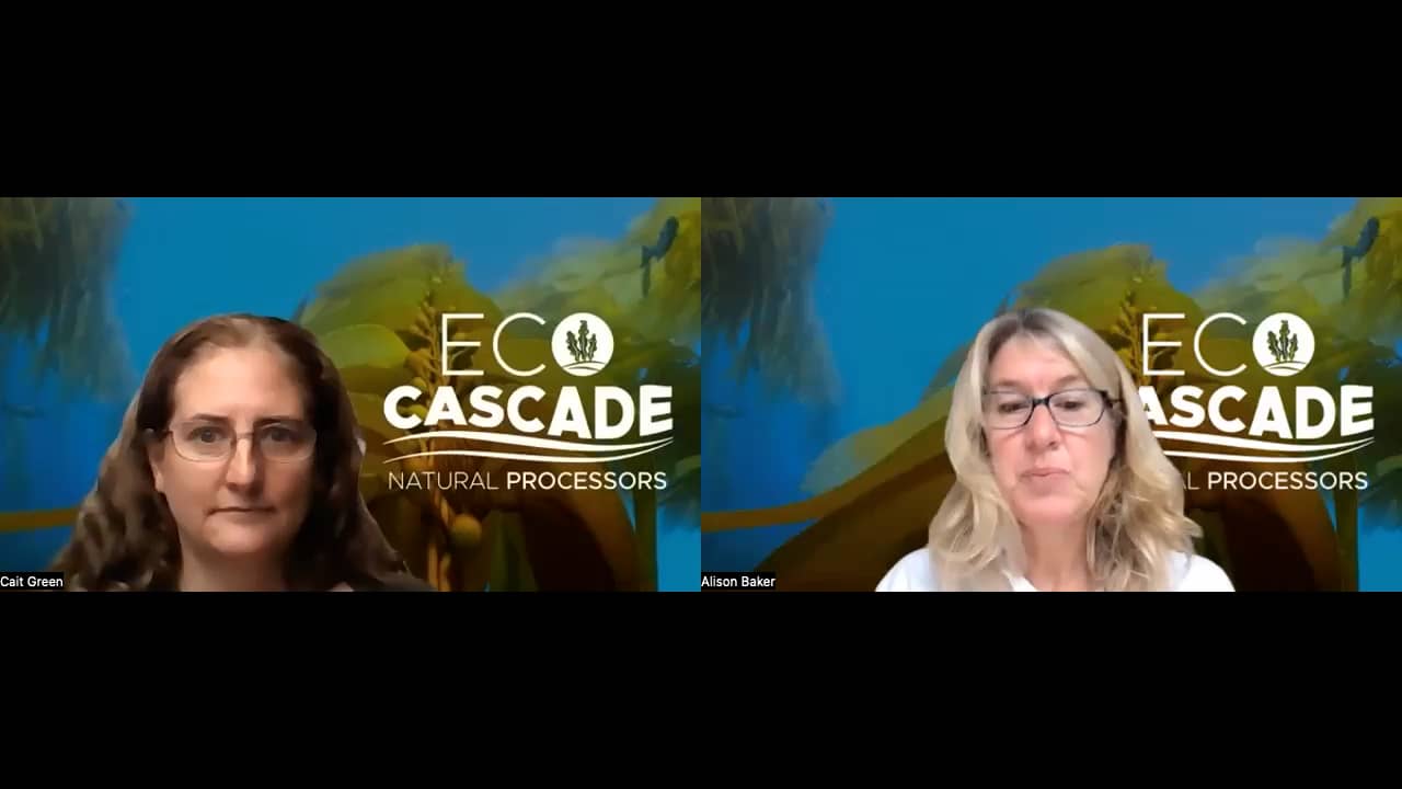 Edge pitch ECO CASCADE CIC.mp4 on Vimeo