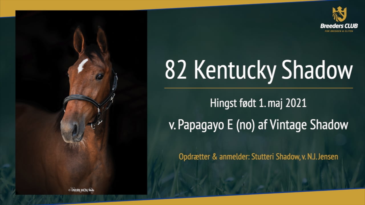 82 Kentucky Shadow on Vimeo