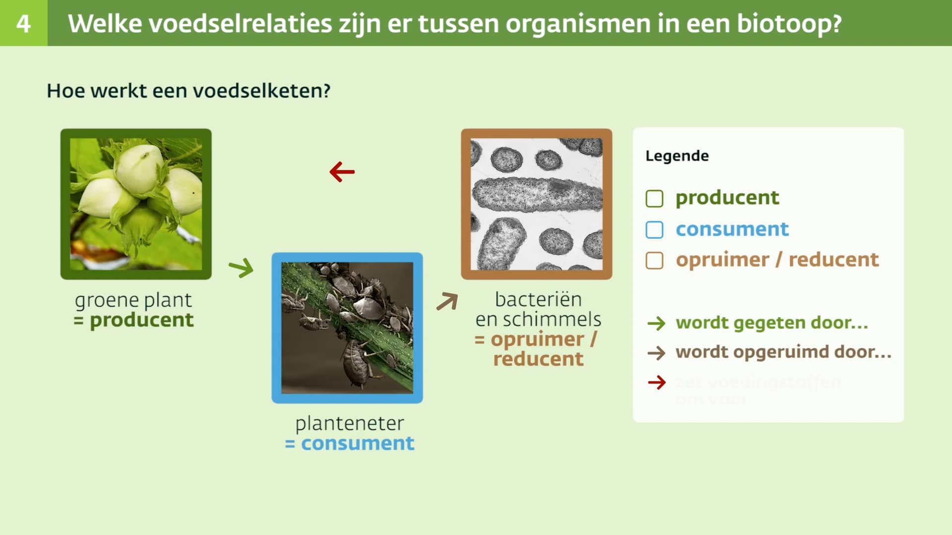 Samenvatting thema 3-Voedselrelaties on Vimeo