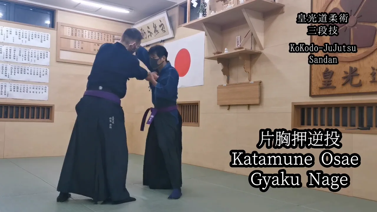 KoKoDo JuJutsu Sandan Vol2 on Vimeo