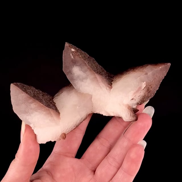 Calcite (''butterfly'' twins with iron oxide inclusions) (ex Kurt ...