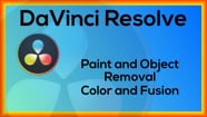Watch DaVinci Resolve Paint And Object Removal Online Vimeo On
