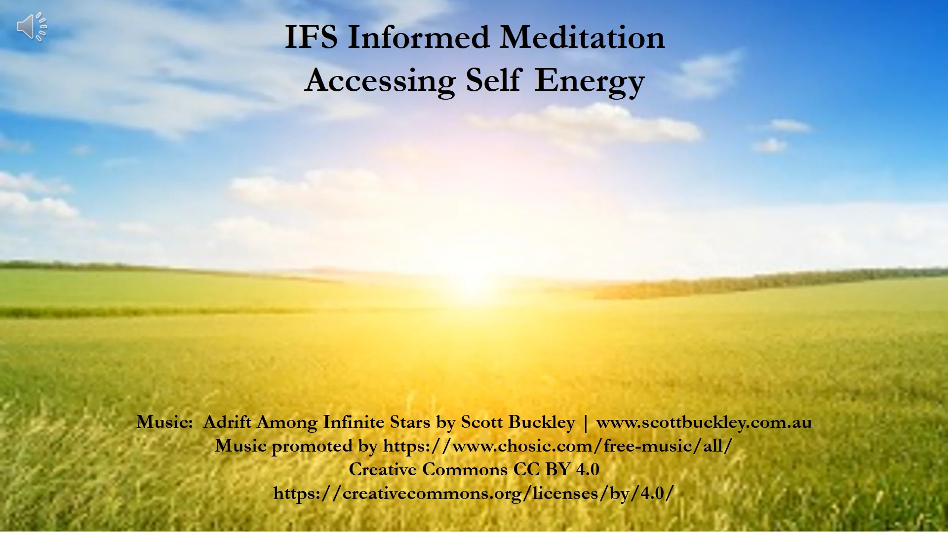 IFS Self Energy Meditation.wmv