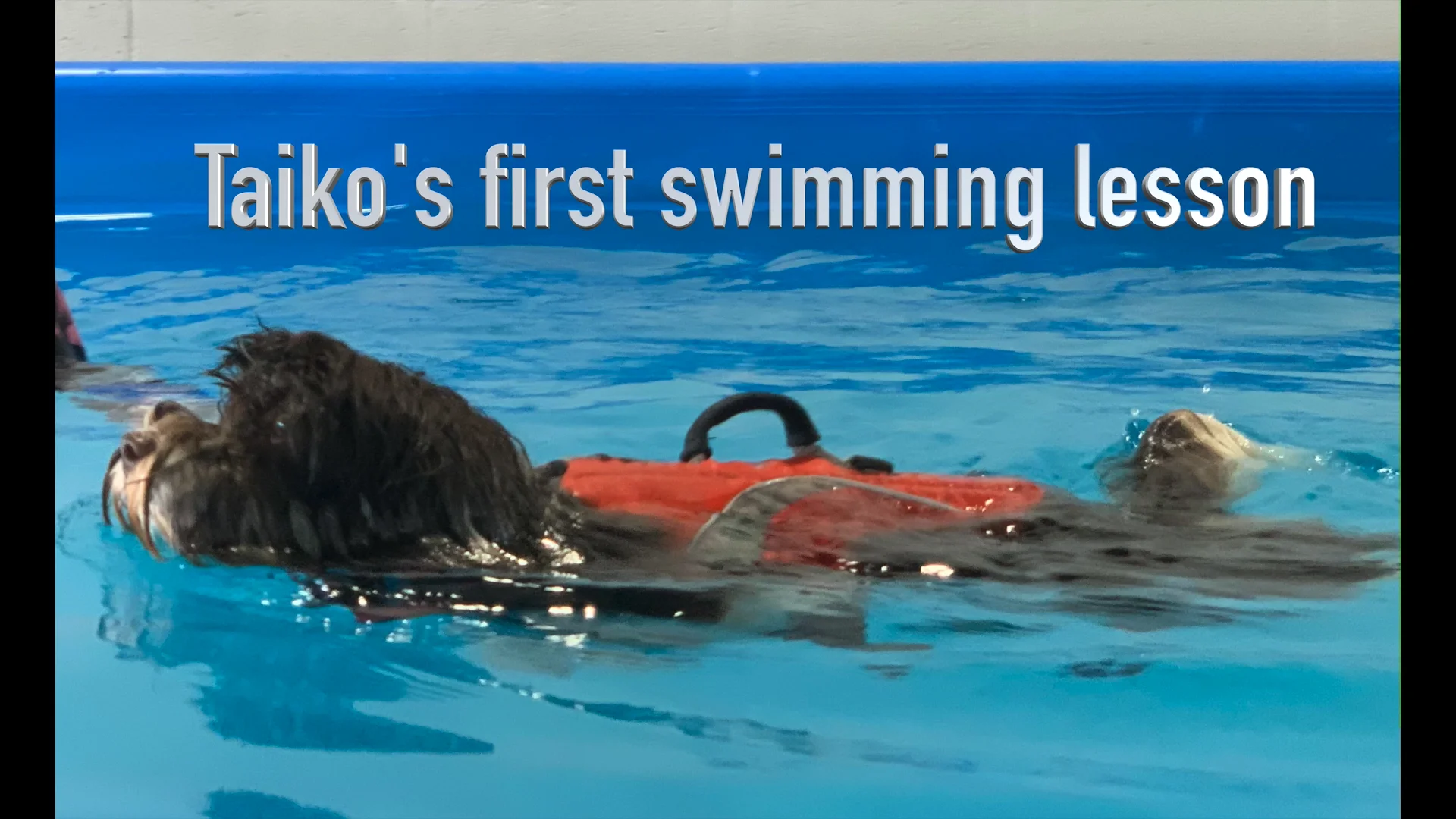 Taiko's first swimming lesson.m4v on Vimeo