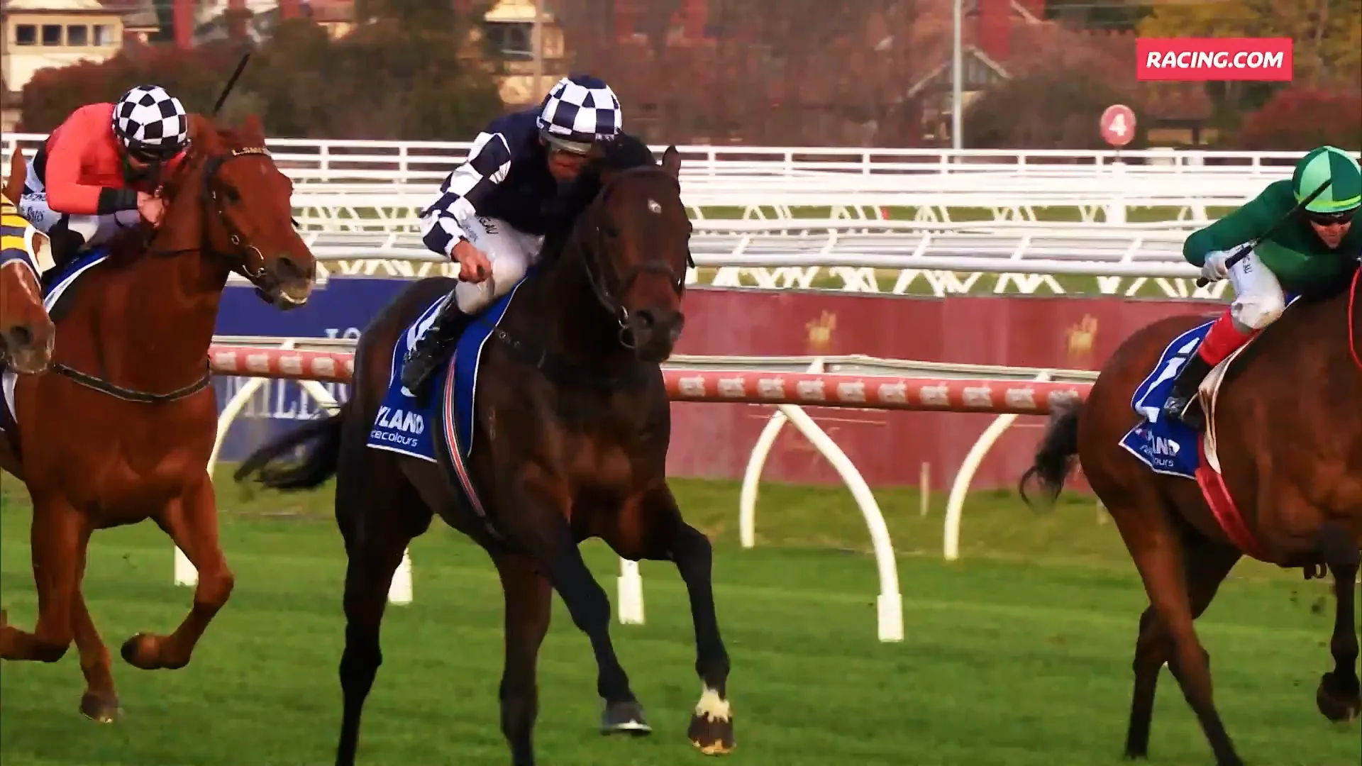 Episode 5 - 'King of the Castle' Stallion Series on Vimeo