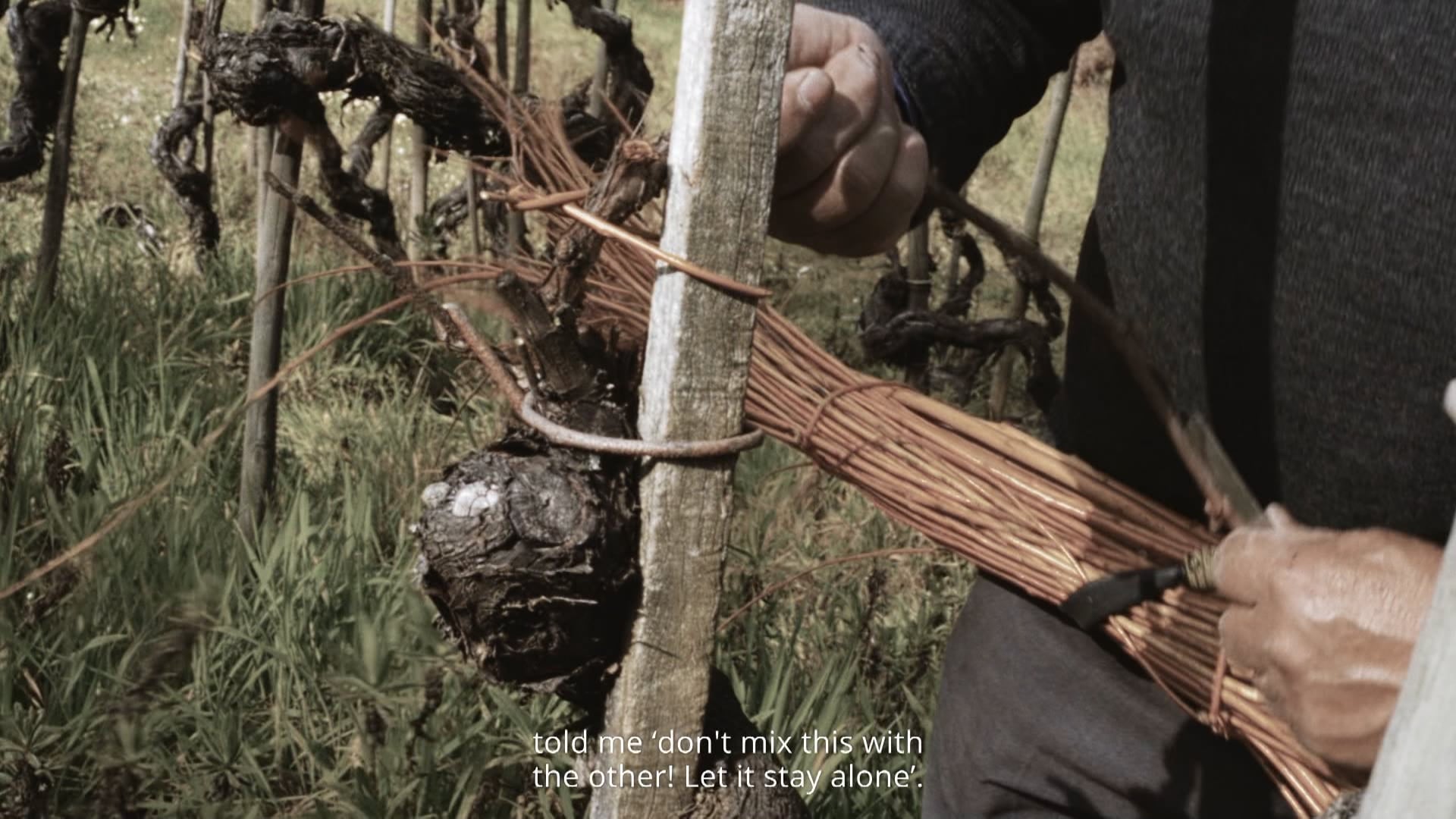 Its Showtime - EP143 - Documentário Pato Pathos.mpg on Vimeo