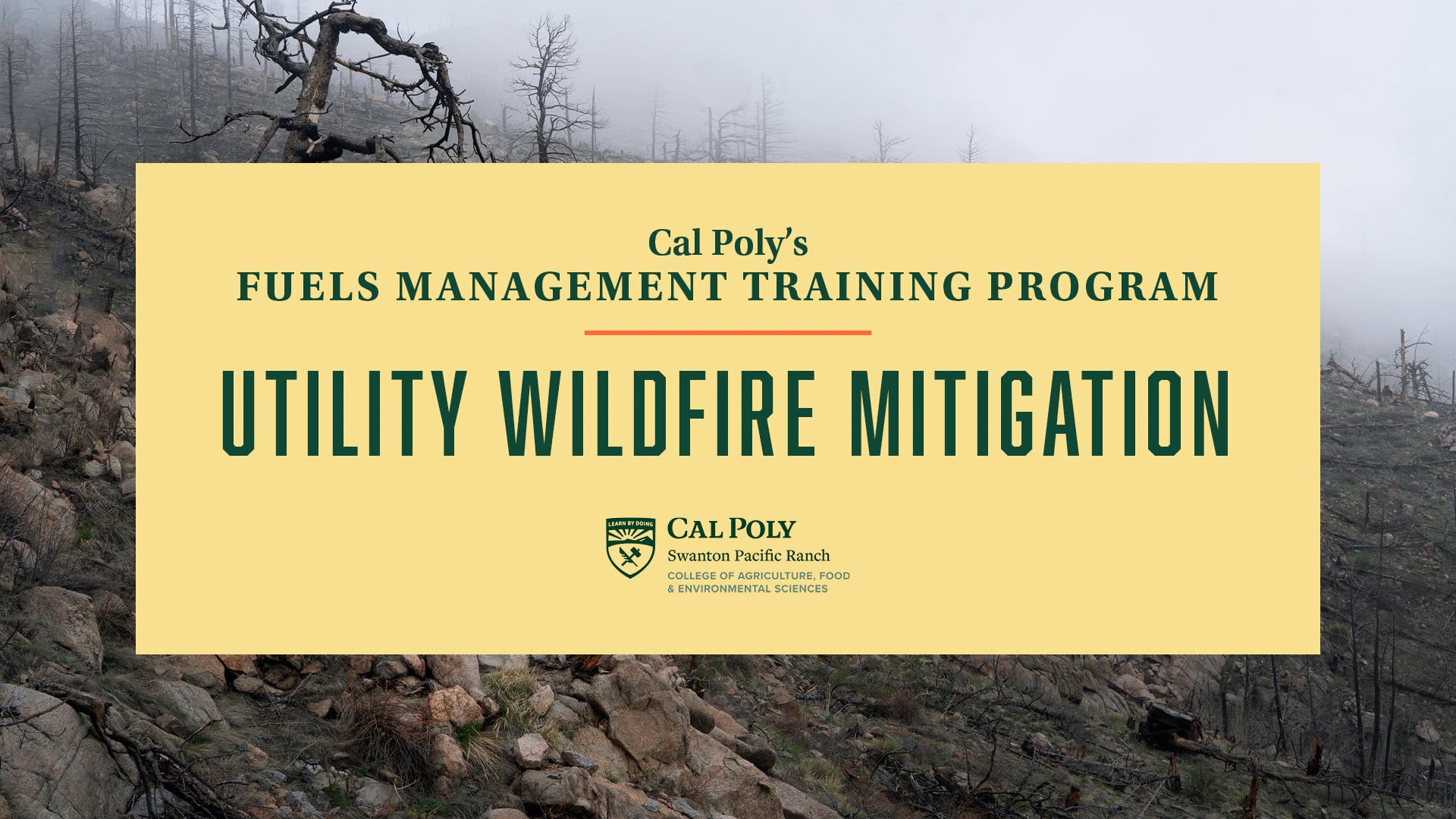 Utility Wildfire Mitigation on Vimeo
