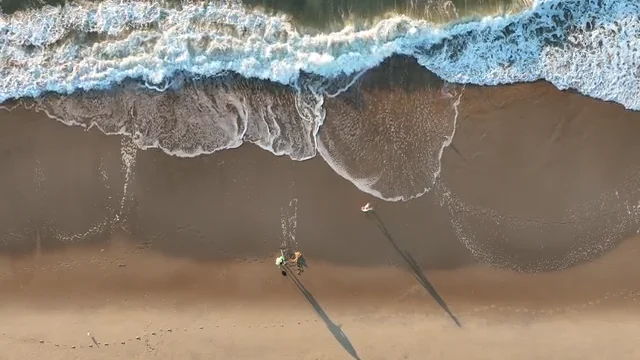 Bob Rives Reel 2021 on Vimeo