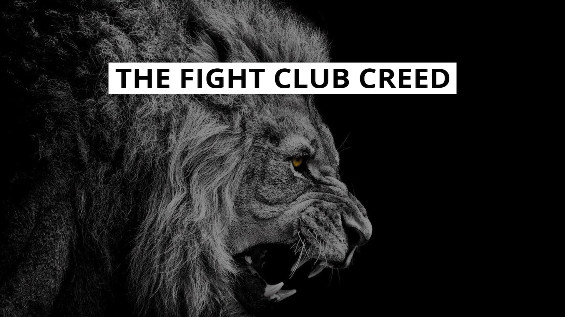 THE FIGHT CLUB CREED on Vimeo