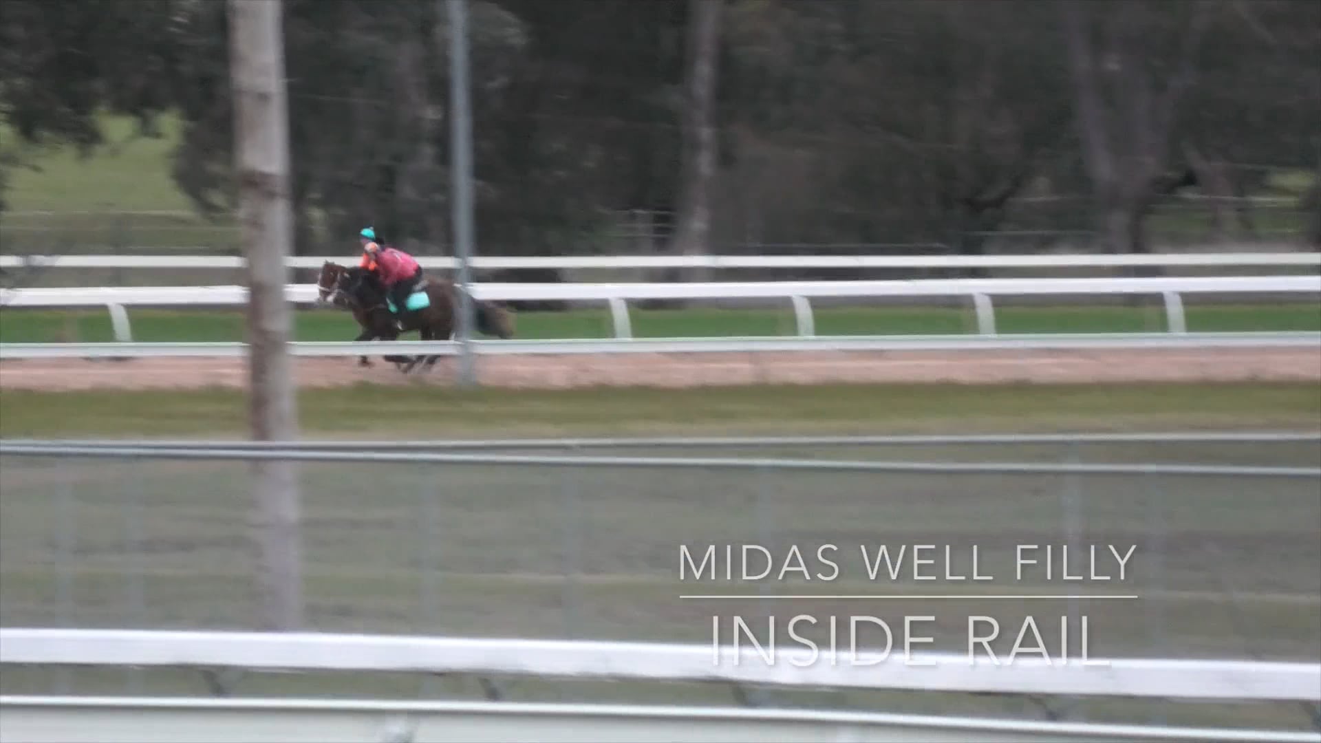 Midas Well Filly - 20 July 2022 on Vimeo