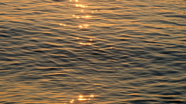 Sea Beach Wave - Free video on Pixabay