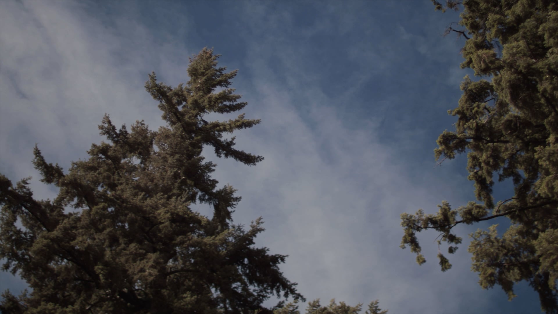 The AstaReal Company Overview