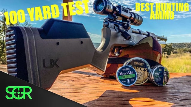 BEST HUNTING PELLETS FOR UMAREX GAUNTLET 2! - .25 cal 100 YARD ACCURACY ...