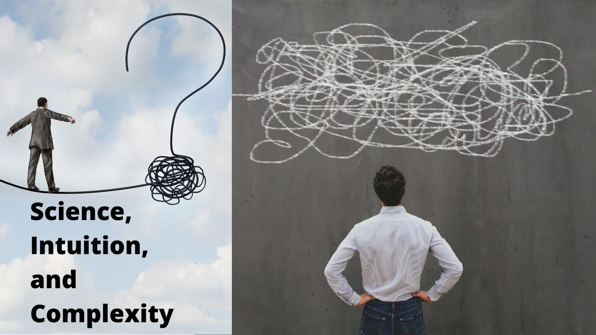 Science, Intuition, Trained Professionals, and Complexity-Management on ...