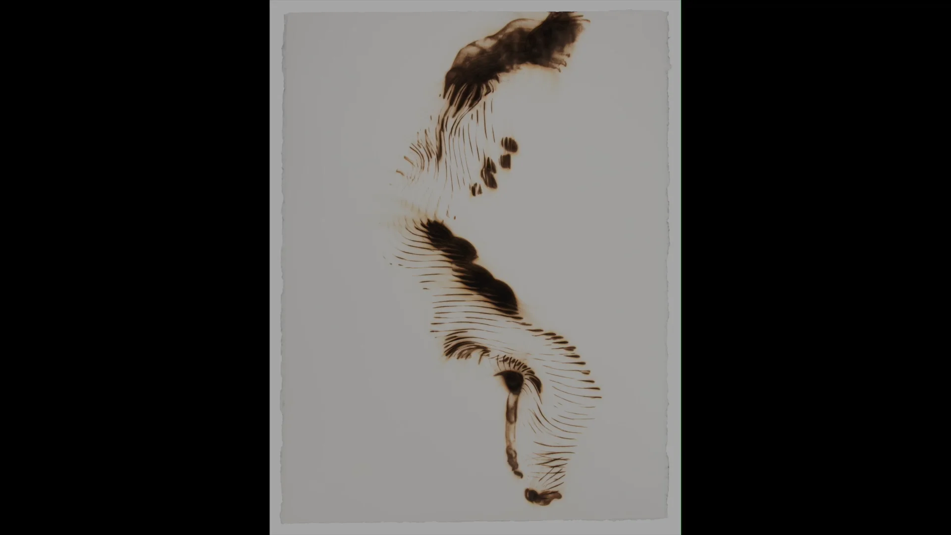 Trace 0619 on Vimeo