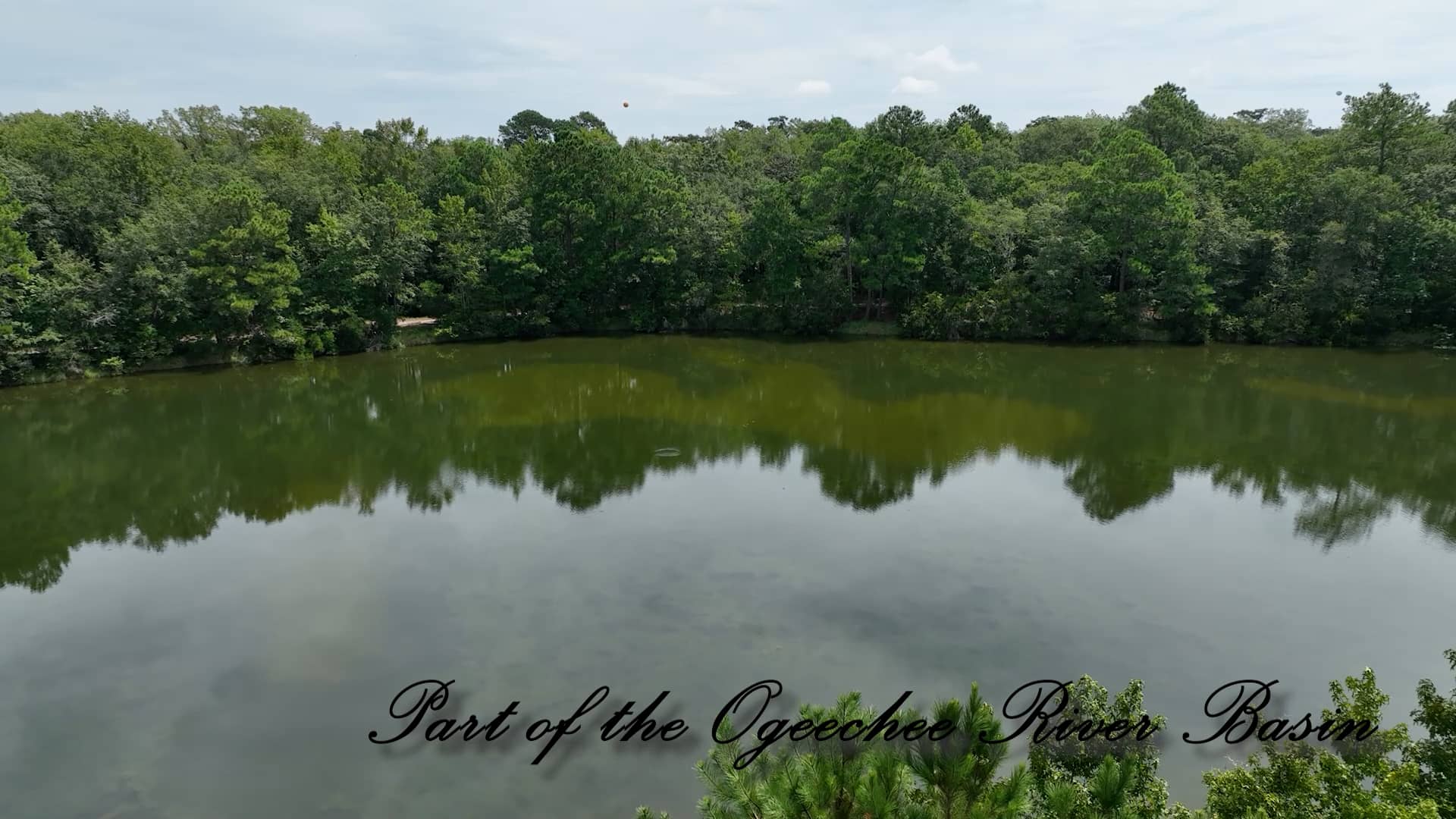 Al Bungard Conservation Area on Vimeo