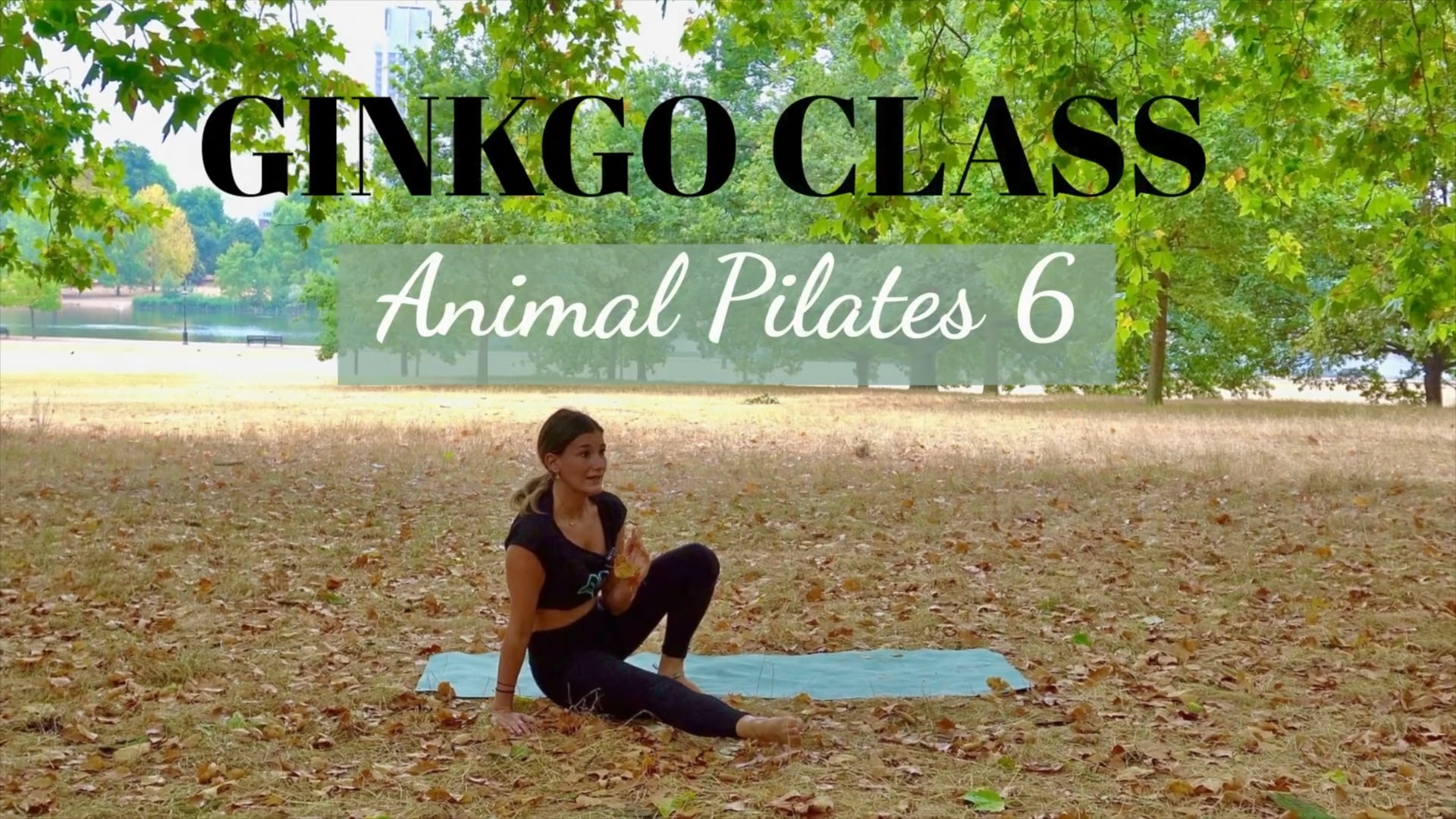 Ginkgo Class- Animal Pilates 6.mp4 on Vimeo