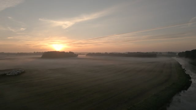 Mist Fog Field - Free video on Pixabay