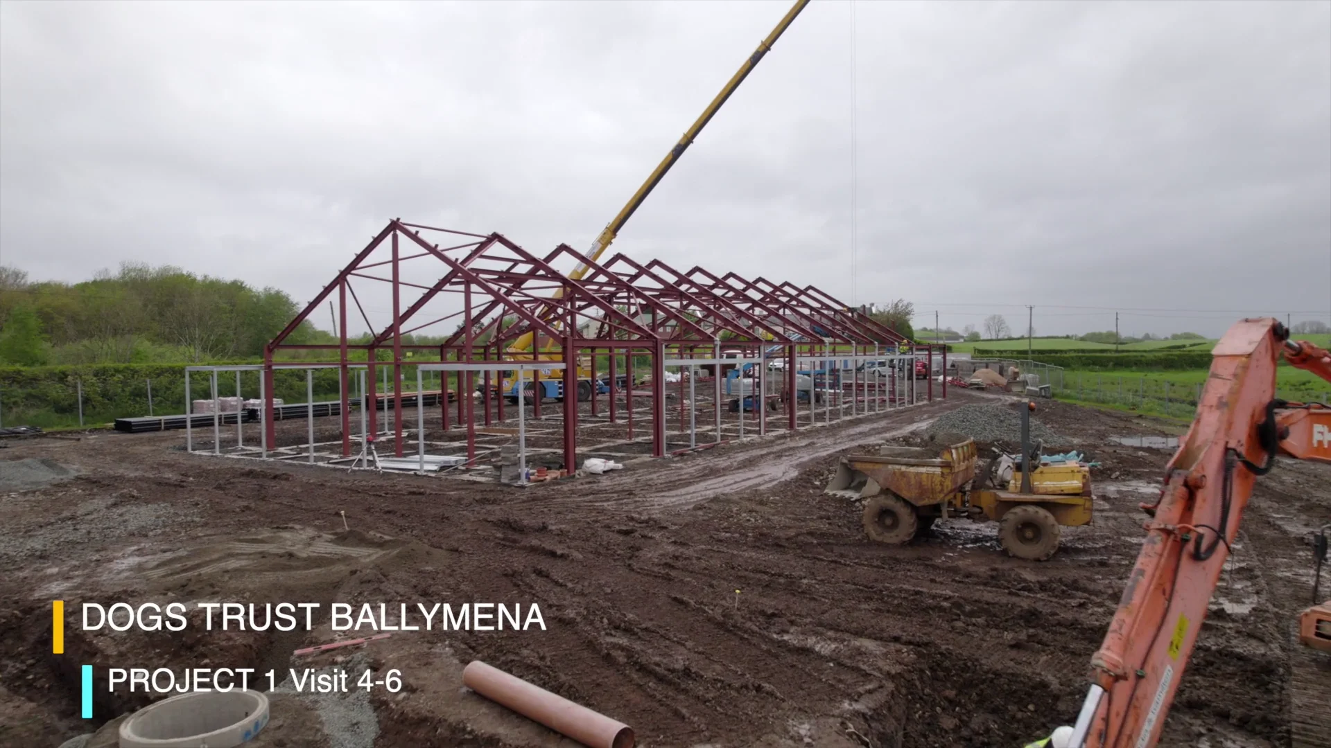 DOGS TRUST 2 - BALLYMENA on Vimeo